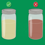What Does Bad Gasoline Look Like: Symptoms and Signs in Your Vehicle